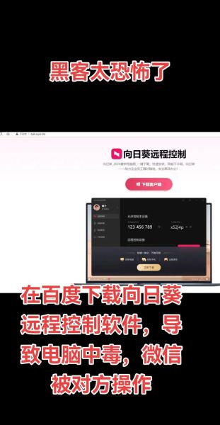 向日葵免费下载app站长统计_如何查看实时数据-第2张图片-山城妙识