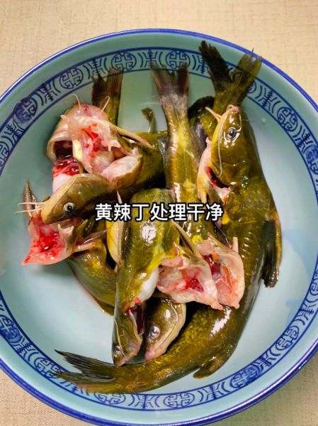 酸菜黄辣丁鱼汤怎么做_酸菜黄辣丁鱼汤的家常做法-第2张图片-山城妙识