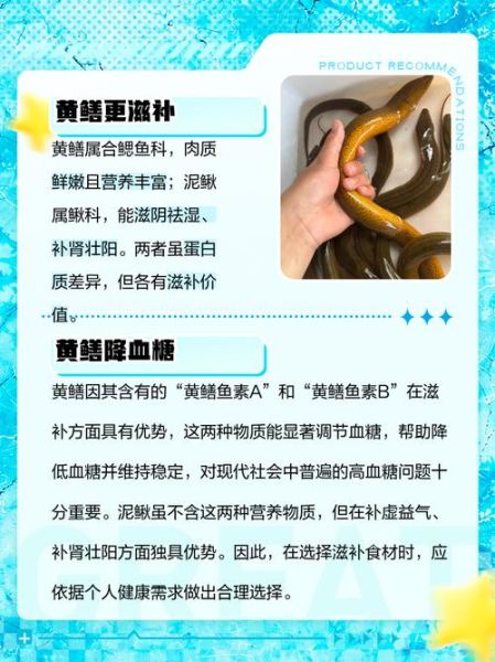 泥鳅和黄鳝的区别_哪个更补-第1张图片-山城妙识