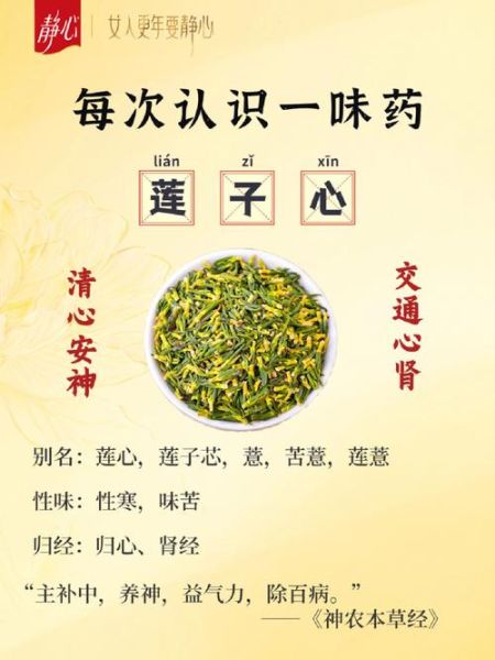 莲子心能吃吗_莲子心怎么吃-第2张图片-山城妙识