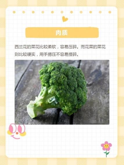 花菜和菜花是一种菜吗_区别与选购指南-第1张图片-山城妙识 花菜和菜花是一种菜吗_区别与选购指南-第1张图片-山城妙识