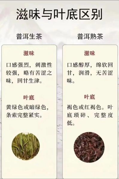 普洱茶属于什么茶_普洱茶的功效如何-第1张图片-山城妙识