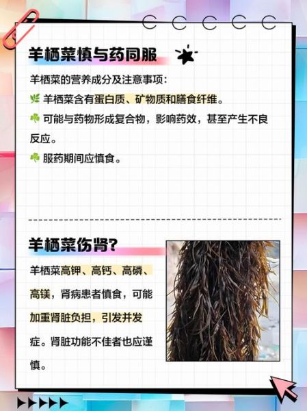 羊栖菜的功效与作用禁忌_什么人不能吃-第3张图片-山城妙识