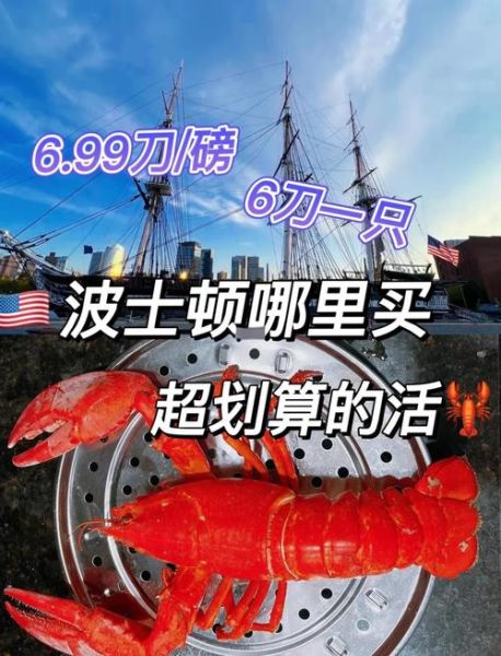 波士顿龙虾多少钱一斤_波士顿龙虾价格受哪些因素影响-第1张图片-山城妙识