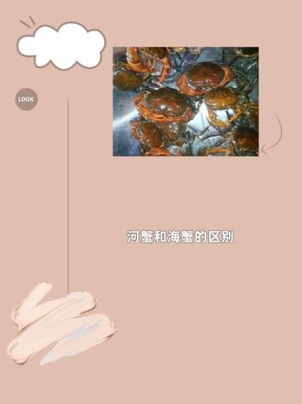 河蟹和海蟹哪个好吃_口感营养大比拼-第3张图片-山城妙识