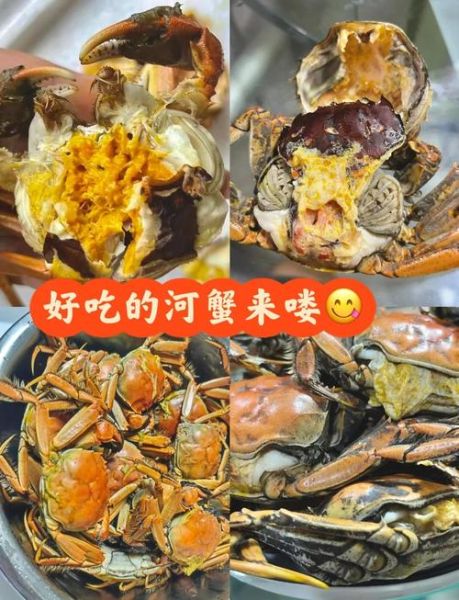 河蟹和海蟹哪个好吃_口感营养大比拼-第2张图片-山城妙识