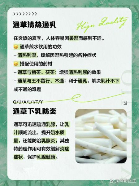 通草丰胸真的有用吗_通草增大多久见效-第3张图片-山城妙识