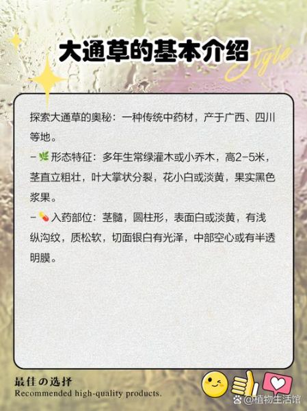 通草丰胸真的有用吗_通草增大多久见效-第1张图片-山城妙识