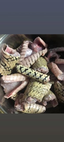 蛇肉的功效与作用_蛇肉怎么吃最补-第2张图片-山城妙识