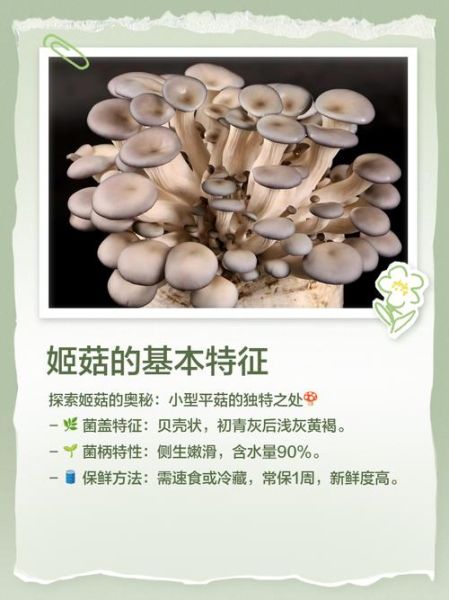 真姬菇汤的做法_真姬菇汤的功效与禁忌-第2张图片-山城妙识