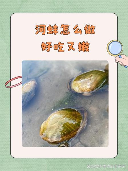 小河蚌怎么做好吃_小河蚌怎么处理干净-第1张图片-山城妙识