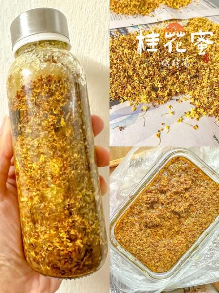 干桂花做糖桂花怎么做_糖桂花保存多久-第3张图片-山城妙识 干桂花做糖桂花怎么做_糖桂花保存多久-第3张图片-山城妙识