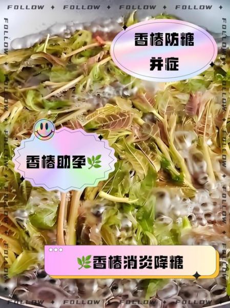 老香椿叶怎么保存_老香椿叶的做法大全-第1张图片-山城妙识