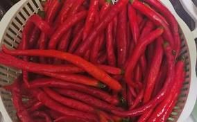 自制无油辣椒酱怎么做_无油辣椒酱能保存多久-第3张图片-山城妙识