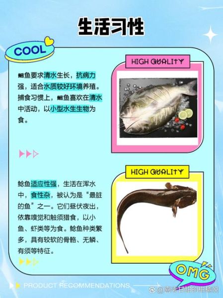 鲇鱼图片_如何分辨鲇鱼与鲶鱼-第1张图片-山城妙识