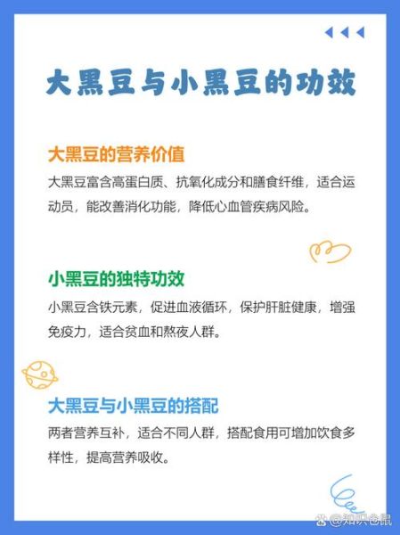 大黑豆和小黑豆的区别_哪个营养价值更高-第3张图片-山城妙识