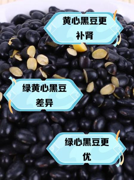 大黑豆和小黑豆的区别_哪个营养价值更高-第1张图片-山城妙识