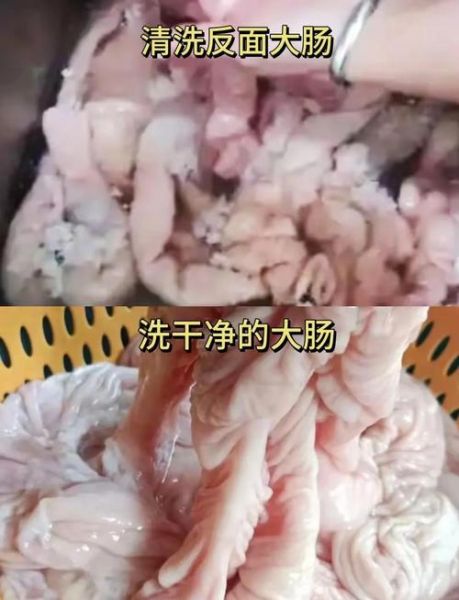 猪大肠怎么清洗_猪大肠简单家常做法-第3张图片-山城妙识 猪大肠怎么清洗_猪大肠简单家常做法-第3张图片-山城妙识