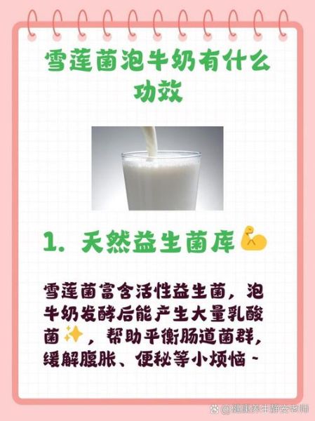 天山雪莲菌自制酸奶危害_如何安全避免风险-第2张图片-山城妙识