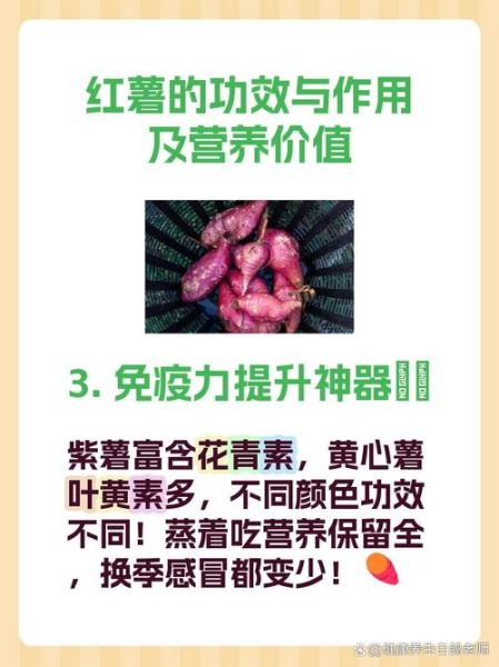 地瓜的功效与作用有哪些_地瓜怎么吃最营养-第3张图片-山城妙识