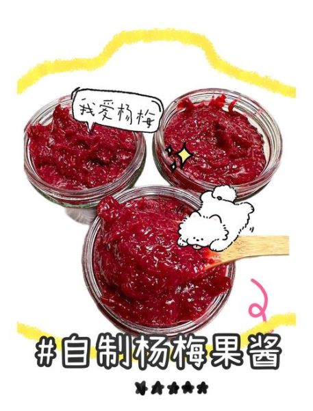 杨梅酱的做法_杨梅酱的功效与作用-第2张图片-山城妙识 杨梅酱的做法_杨梅酱的功效与作用-第2张图片-山城妙识