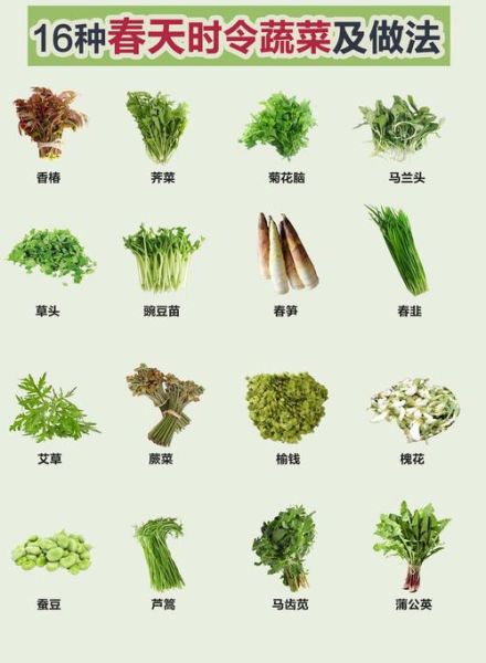 春季蔬菜有哪些_春季蔬菜怎么保存-第3张图片-山城妙识
