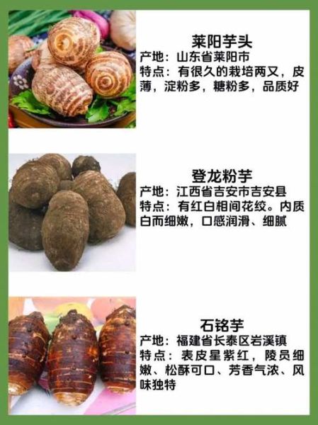 芋头品种有哪些_芋头品种图片说明-第1张图片-山城妙识 芋头品种有哪些_芋头品种图片说明-第1张图片-山城妙识