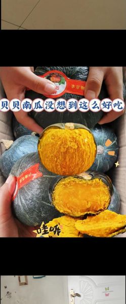 板栗南瓜的营养价值_板栗南瓜的功效与作用-第3张图片-山城妙识