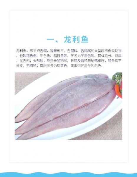 巴沙鱼片和龙利鱼片是一种鱼吗_区别与选购指南-第3张图片-山城妙识