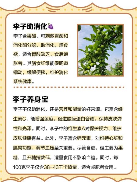 李子怎么挑选_李子功效与作用-第3张图片-山城妙识 李子怎么挑选_李子功效与作用-第3张图片-山城妙识