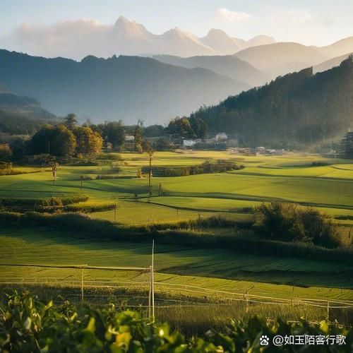 宫保鸡丁怎么做_宫保鸡丁需要哪些材料-第1张图片-山城妙识