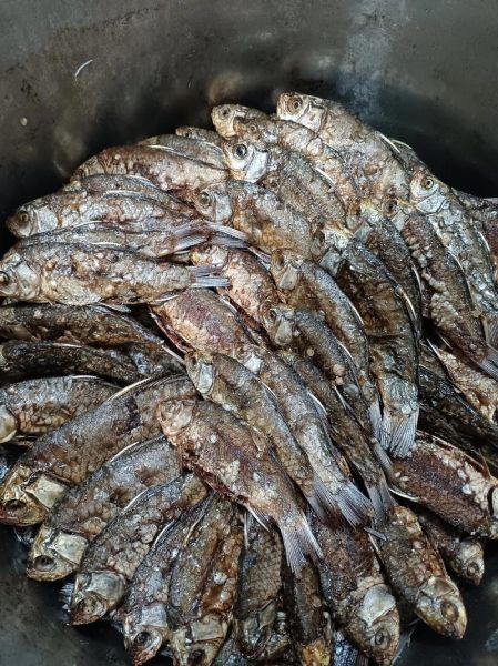 小鱼做糟鱼的做法_小鱼糟鱼怎么做才入味-第3张图片-山城妙识 小鱼做糟鱼的做法_小鱼糟鱼怎么做才入味-第3张图片-山城妙识