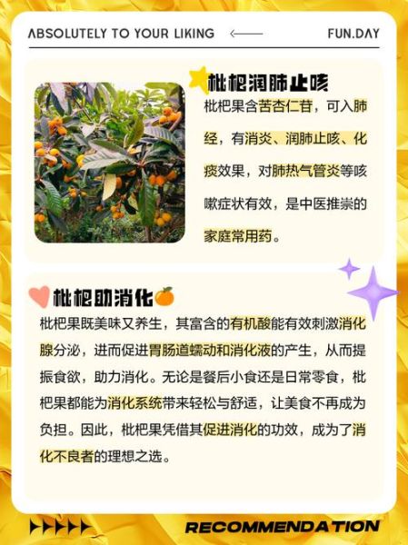 枇杷果的功效与作用_枇杷果怎么吃止咳化痰-第3张图片-山城妙识