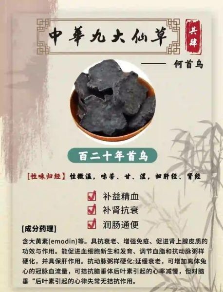 制首乌的功效与作用及禁忌_哪些人不能吃-第1张图片-山城妙识