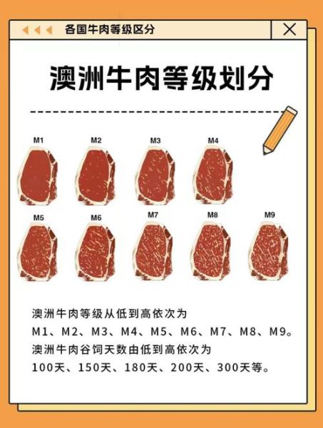 澳洲牛排怎么选_澳洲牛排哪个部位最好吃-第3张图片-山城妙识
