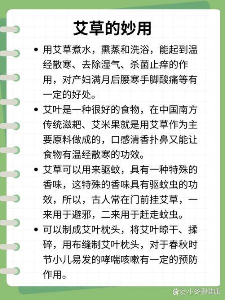 艾草哪些人不能吃_艾草禁忌人群-第1张图片-山城妙识 艾草哪些人不能吃_艾草禁忌人群-第1张图片-山城妙识