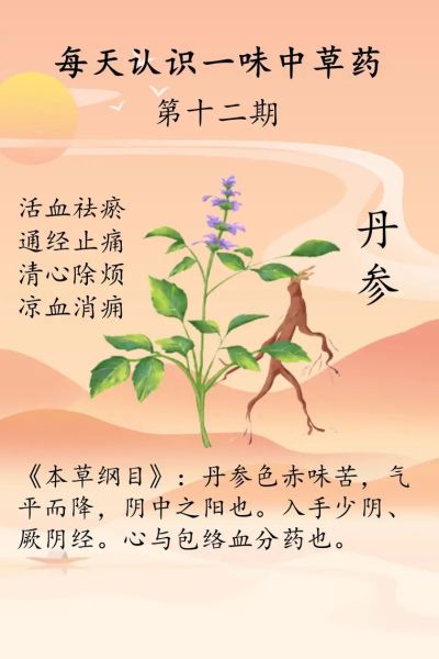 丹参的功效与作用及禁忌是什么_丹参哪些人不能吃-第1张图片-山城妙识