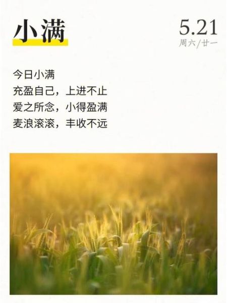 小满经典诗句有哪些_如何理解小满诗词意境-第2张图片-山城妙识