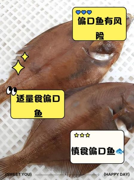 偏口鱼和比目鱼的区别_哪个更常见-第2张图片-山城妙识 偏口鱼和比目鱼的区别_哪个更常见-第2张图片-山城妙识