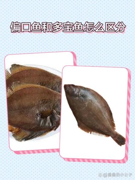 偏口鱼和比目鱼的区别_哪个更常见-第1张图片-山城妙识 偏口鱼和比目鱼的区别_哪个更常见-第1张图片-山城妙识