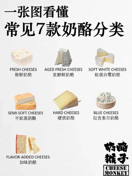 十大经典奶酪有哪些_如何挑选与保存-第1张图片-山城妙识