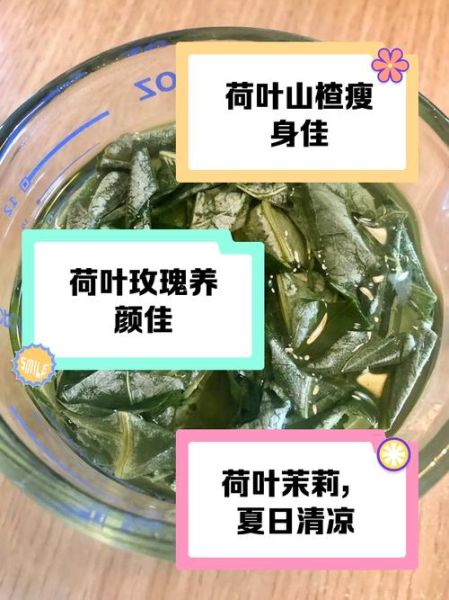 荷叶茶和什么搭配最好_荷叶茶最佳搭配推荐-第2张图片-山城妙识