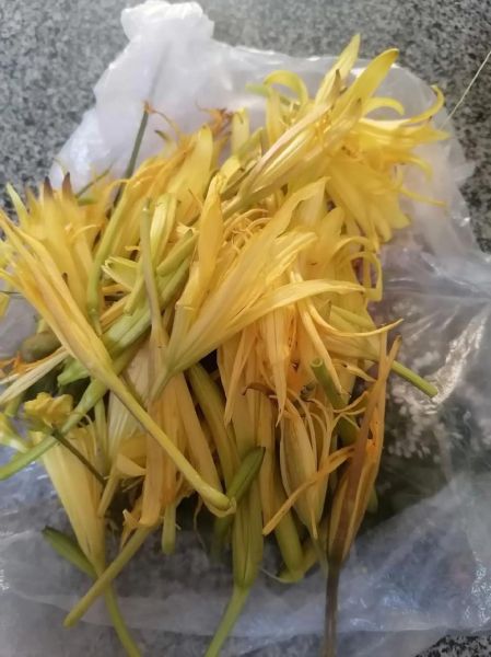 凉拌新鲜黄花菜怎么做好吃_黄花菜焯水几分钟-第2张图片-山城妙识 凉拌新鲜黄花菜怎么做好吃_黄花菜焯水几分钟-第2张图片-山城妙识