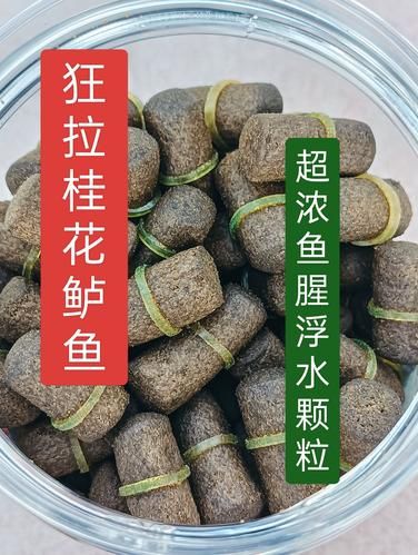 桂花鱼用什么饵料钓最好_桂花鱼饵料配方-第1张图片-山城妙识