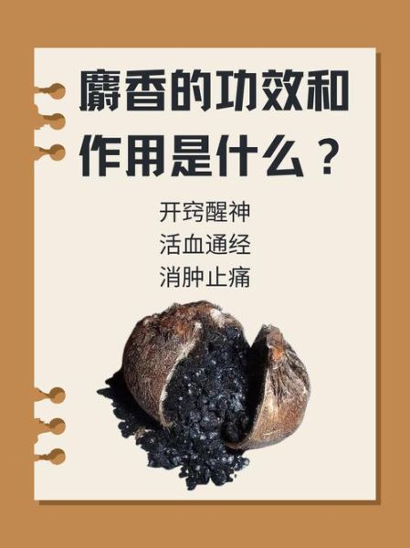 人工麝香的功效与作用_人工麝香和天然麝香区别-第3张图片-山城妙识 人工麝香的功效与作用_人工麝香和天然麝香区别-第3张图片-山城妙识