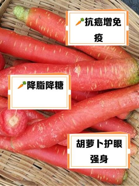 红萝卜的功效与作用有哪些_红萝卜的营养价值高吗-第1张图片-山城妙识