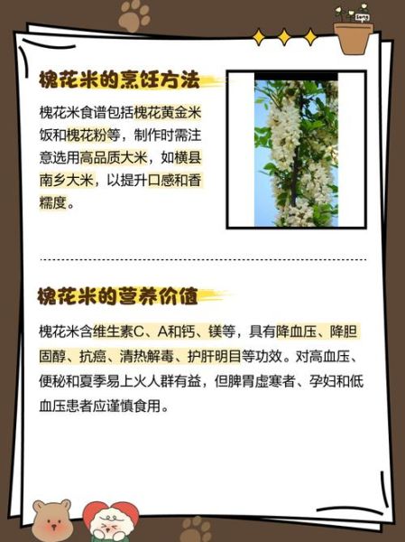槐花米怎么吃_槐花米有什么功效-第2张图片-山城妙识 槐花米怎么吃_槐花米有什么功效-第2张图片-山城妙识
