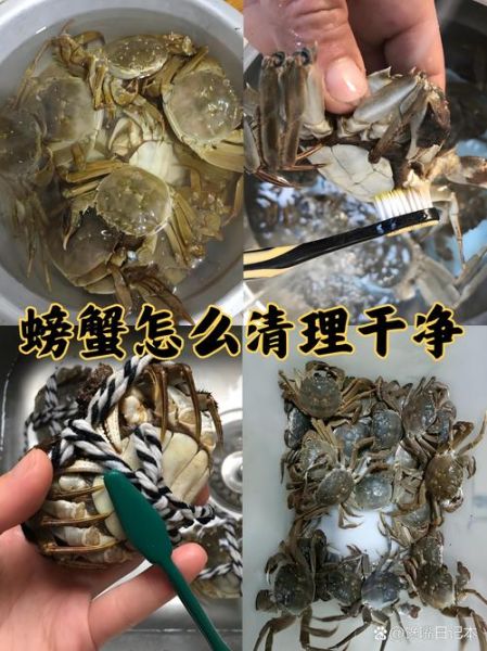 如何清洗螃蟹_螃蟹怎么洗才干净-第3张图片-山城妙识