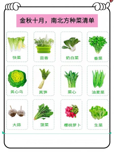 常见蔬菜名称大全图片_哪些蔬菜适合新手种植-第1张图片-山城妙识