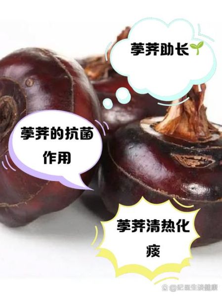 荸荠怎么吃_荸荠有什么药用价值-第3张图片-山城妙识